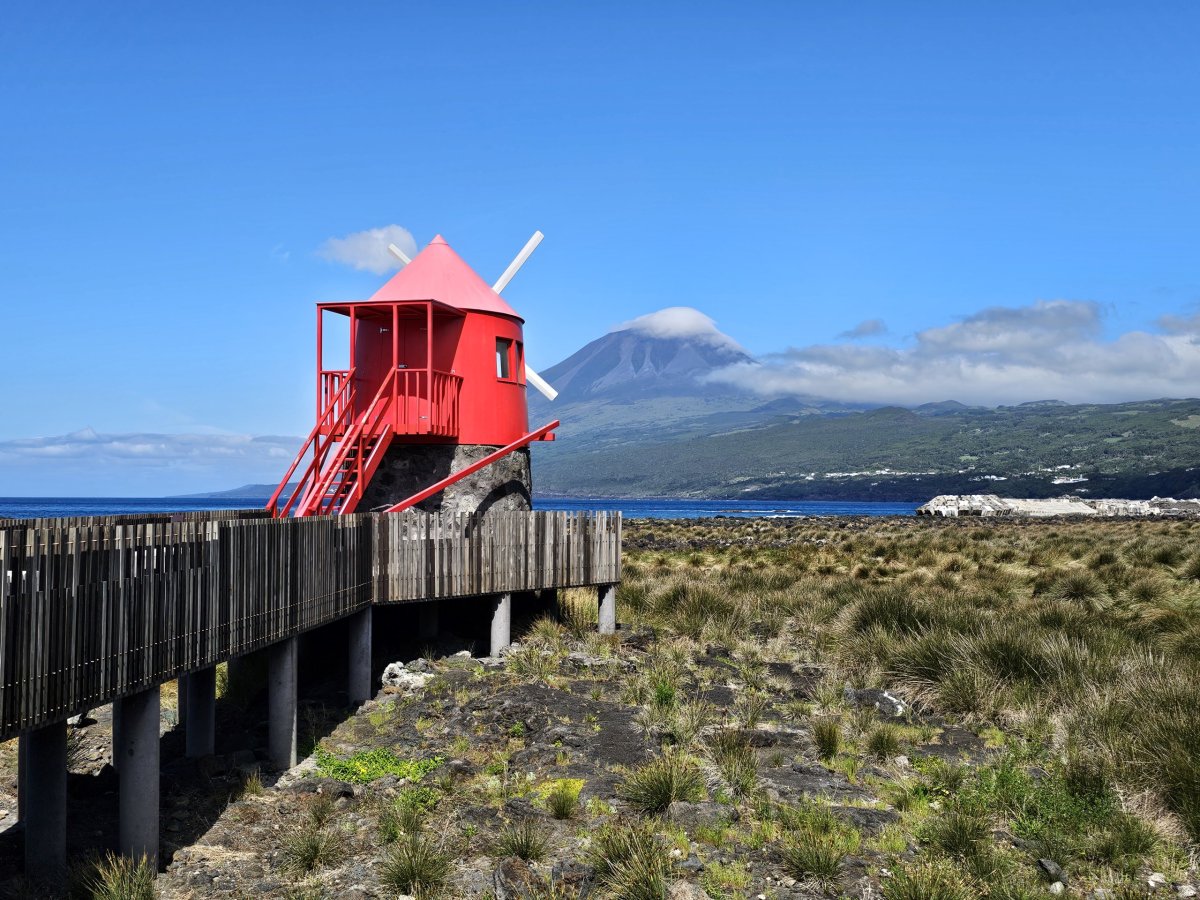 Pico - todo lo que debes saber antes de visitar