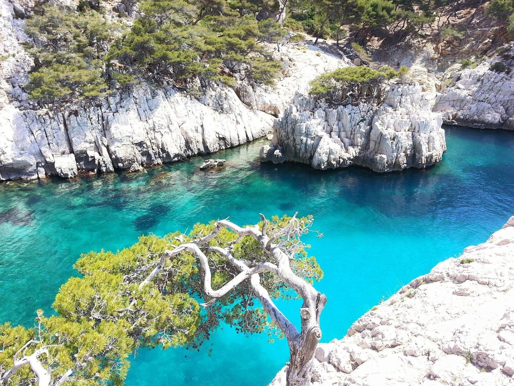 Parque Nacional de las Calanques, Marsella - todo lo que necesita saber