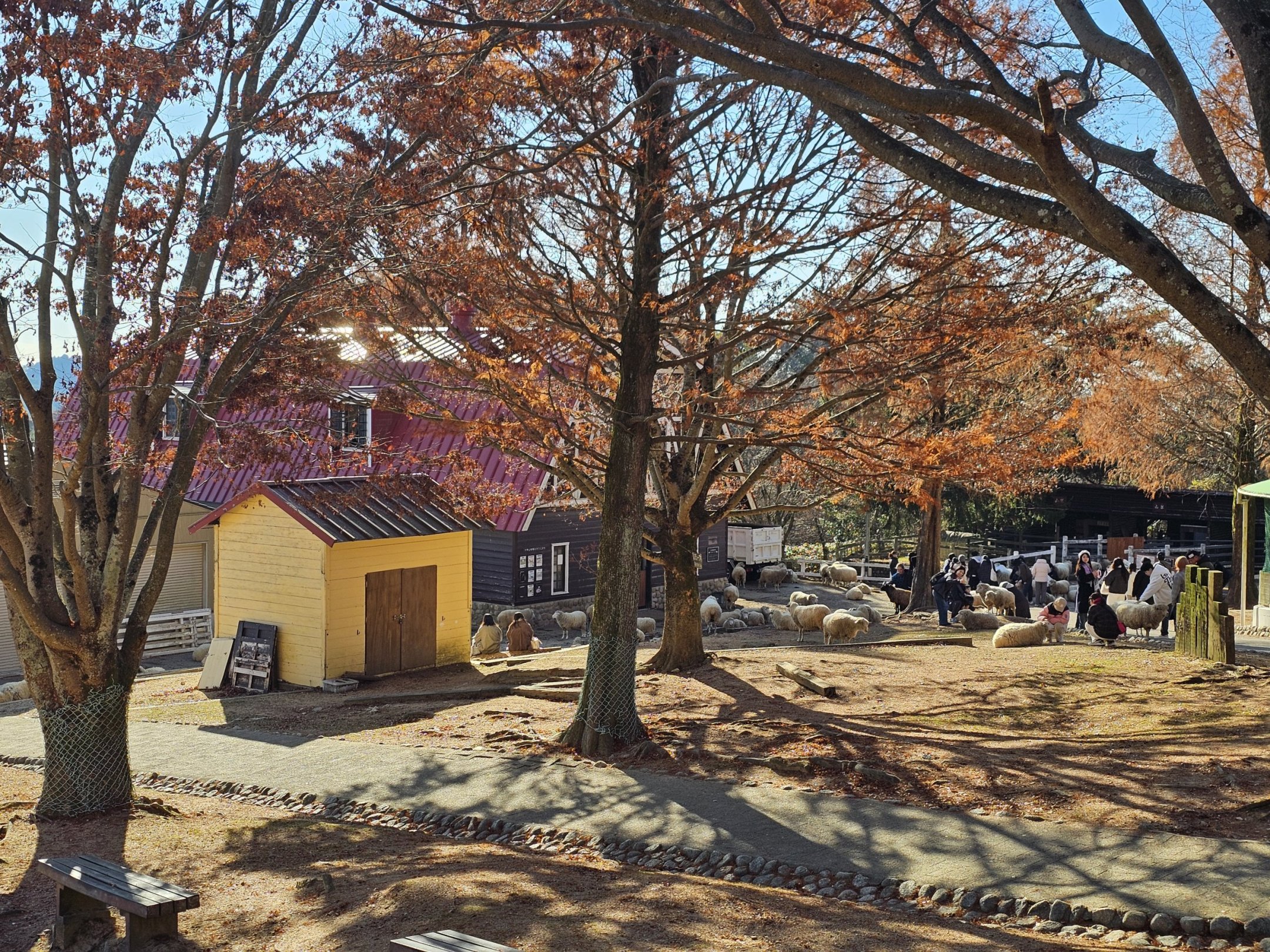 Rokkosan Pasture, Kobe - todo lo que necesita saber